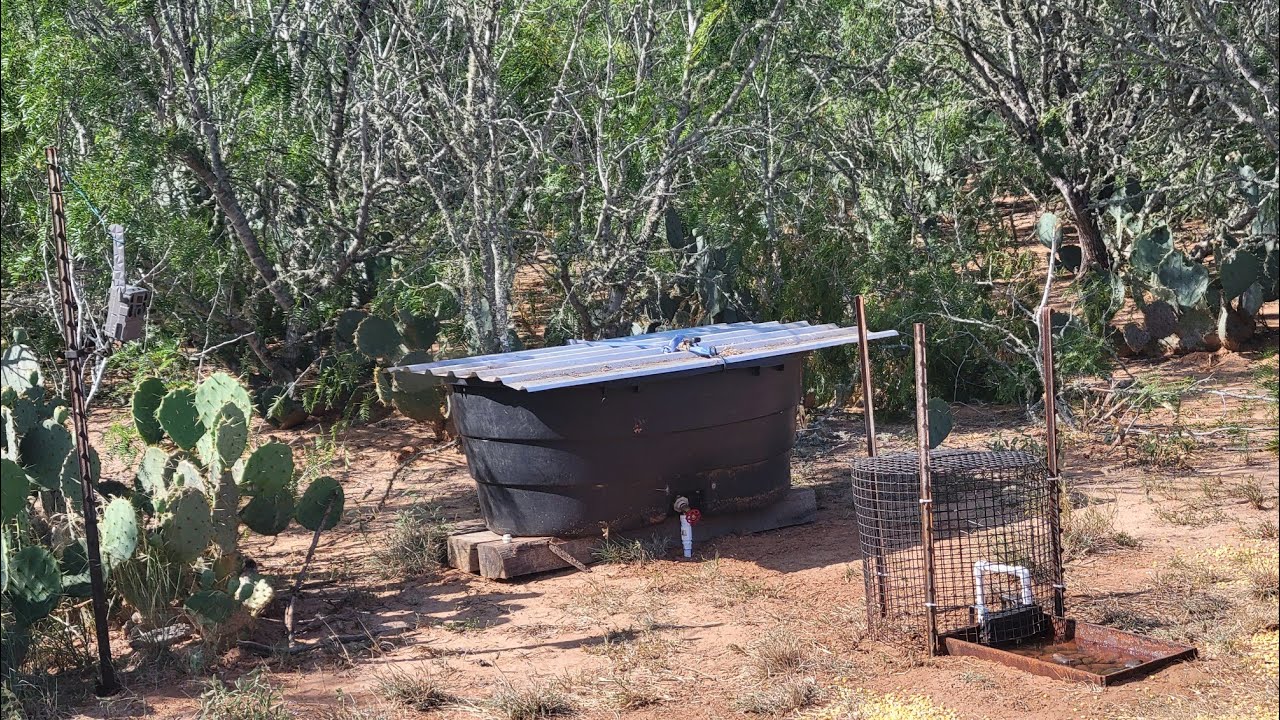 Water Guzzler for deer and wildlife to help your bowhunting - YouTube