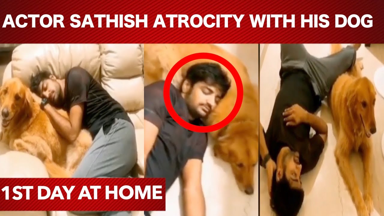 1st Day at Home - Actor Sathish Funny Atrocity with his Dog at Home ...