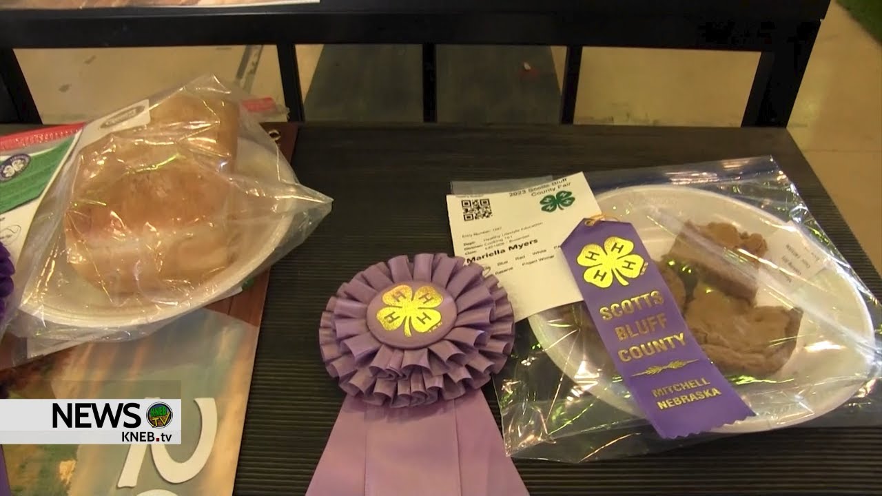 Static Exhibits at SBCo Fair Showcases Local Talent - YouTube