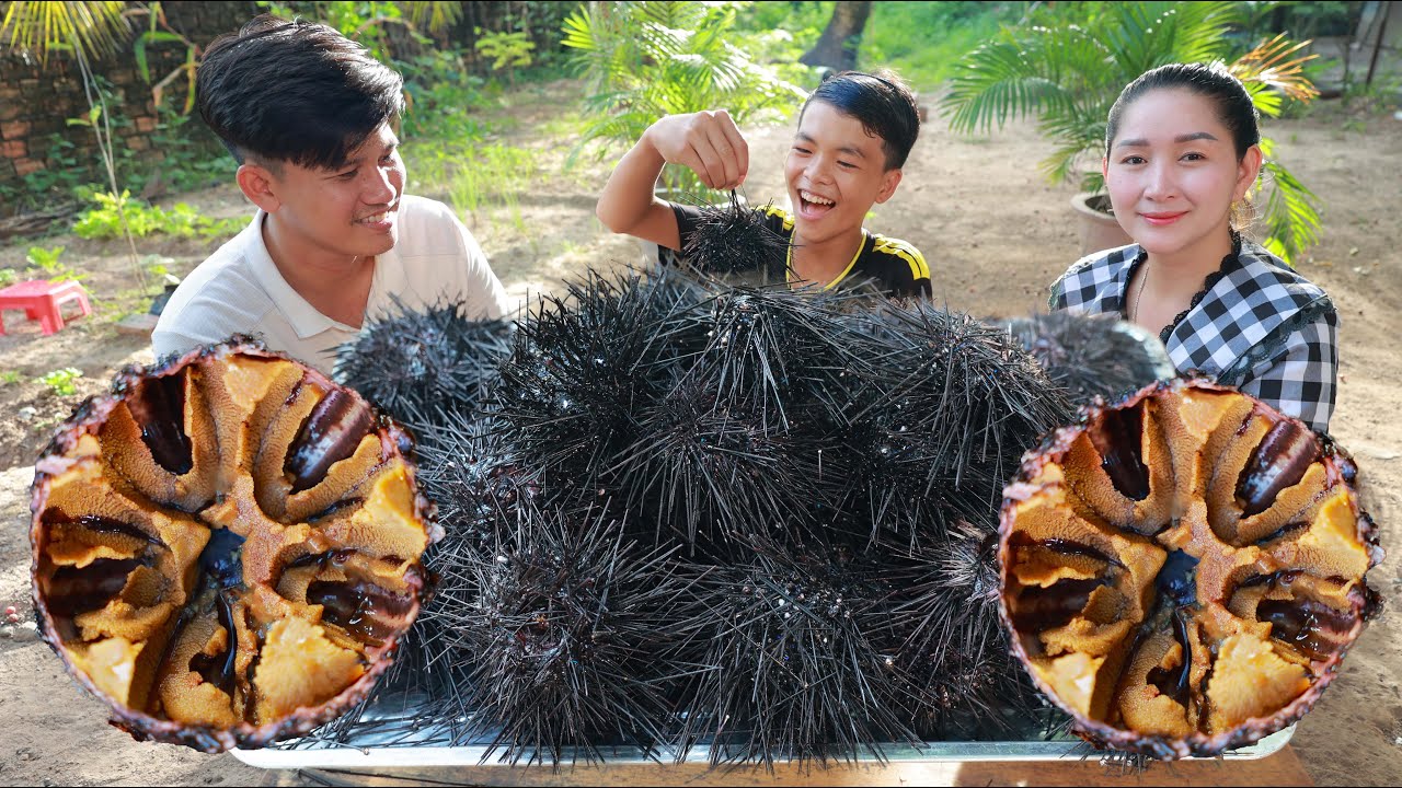 WOW! Today's Sea Urchin is so big and Fat | Cook Egg with Sea Urchin ...
