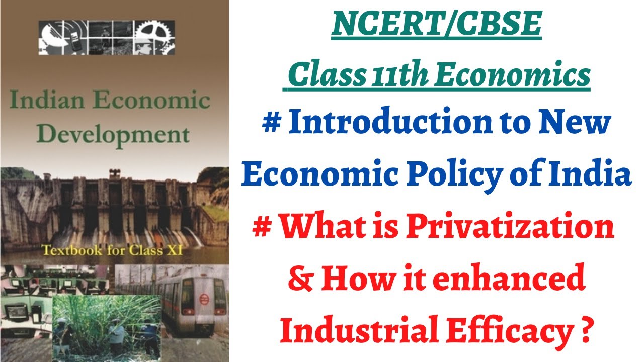 (P2 What was Privatization under New Economic Policy 1991 ?) NCERT ...