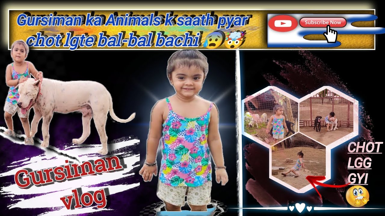 Gursiman ka Animals k saath pyar and play time with Pakistani Bully And ...