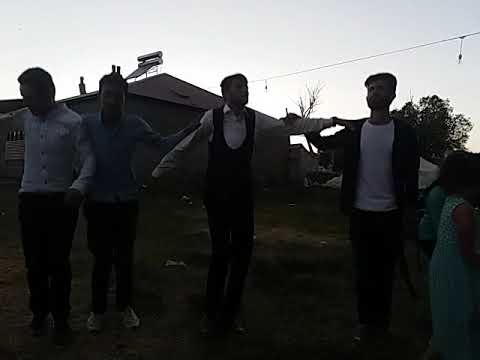 Tutak uzunöz köy damat halayda kopuyor