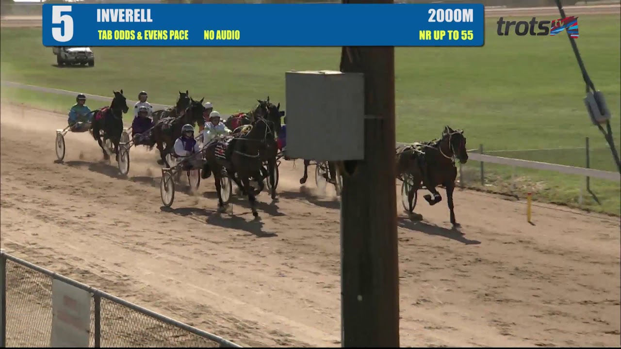 INVERELL - 29/03/2020 - Race 5 - TAB ODDS & EVENS PACE - YouTube