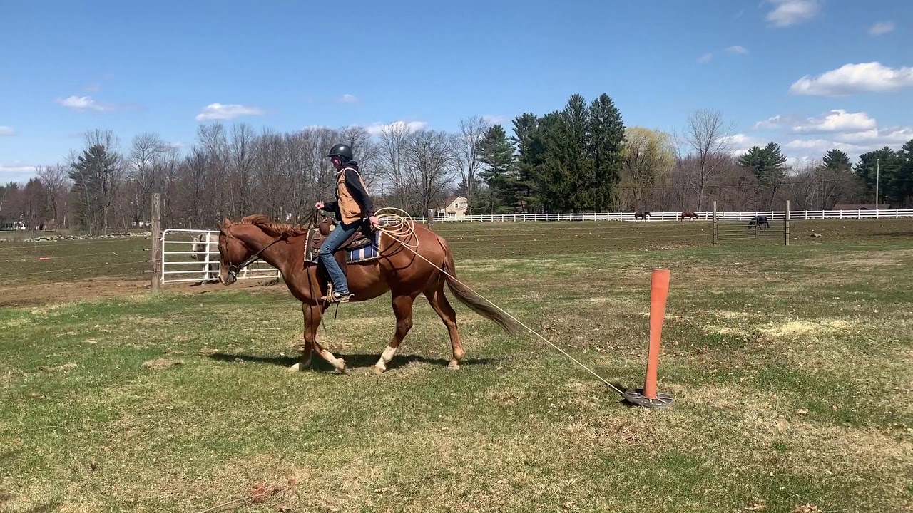 SOLD! Cooper - 2012 AQHA Gelding - YouTube