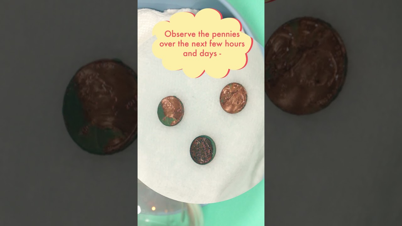Turning Pennies Green Science Experiment | Science for Kids | STEM for ...