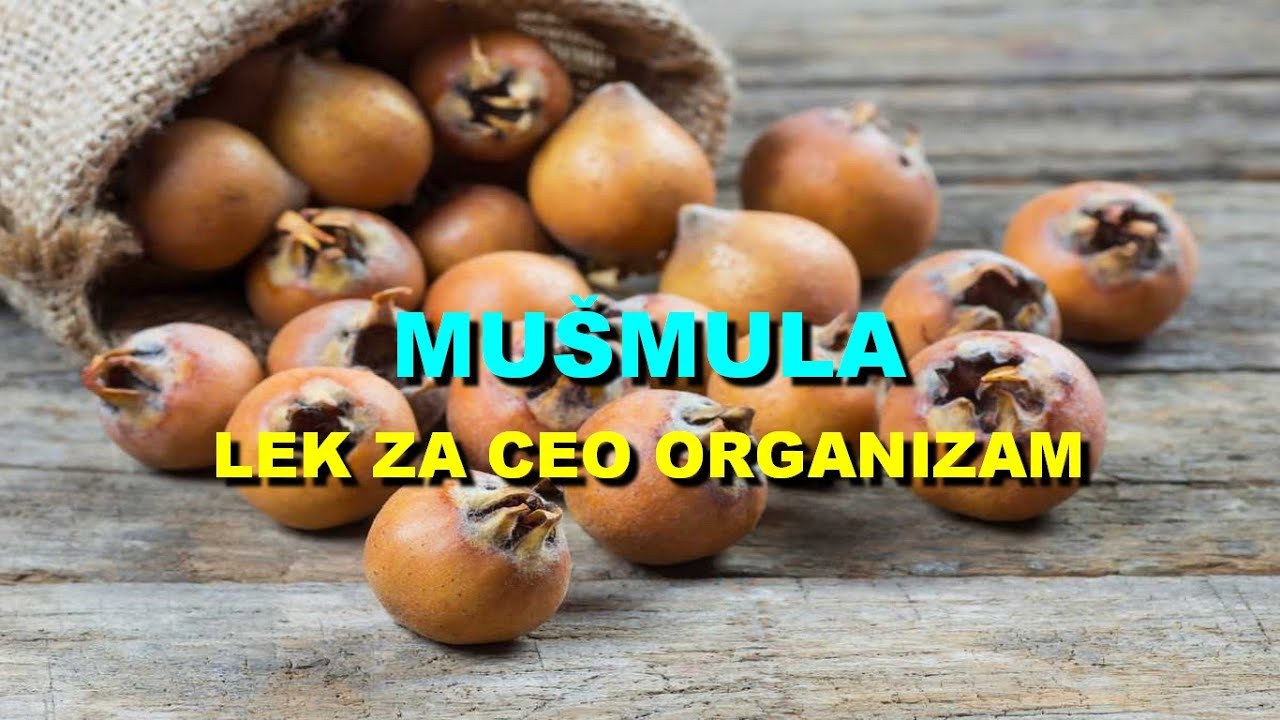 MUŠMULA - LEK Za CEO ORGANIZAM - YouTube