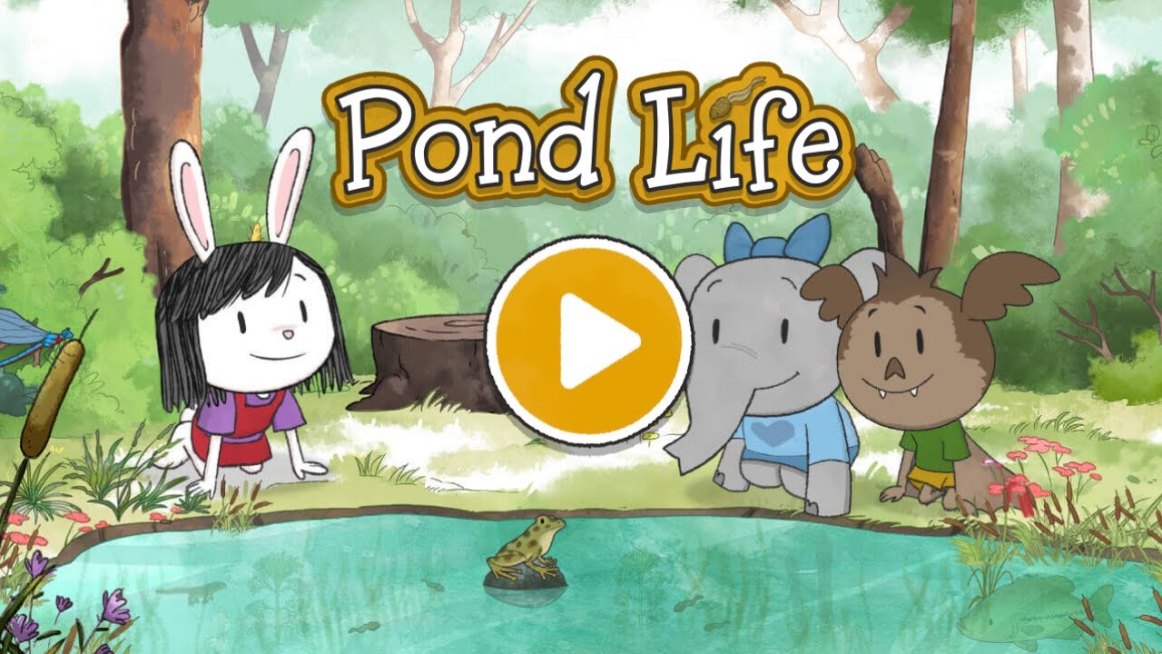 Pond Life - YouTube
