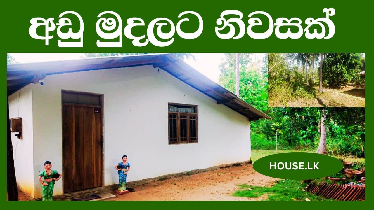 වටින දේපලක් අඩු මුදලට ගමුද? |House for sale in Dambulla area for low ...