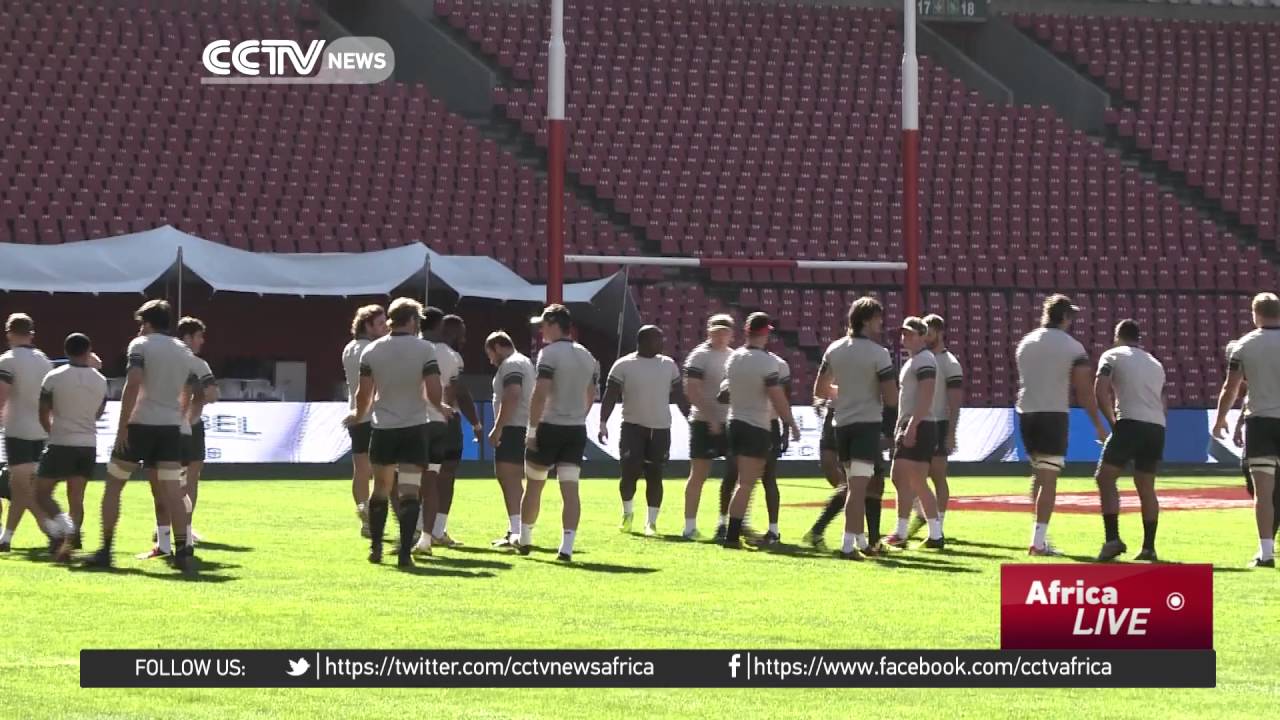 Adrian Strauss the man in charge of Springboks ahead of Ireland test ...