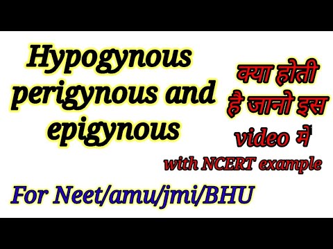 hypogynous, perigynous , epigynous kya hota h jano is video m with ...