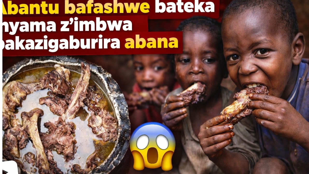 KIGALI - ABATEKAGA IMBWA Z'ABATURAGE BARAFASHWE || REBA ISOSI Y'IMBWA ...