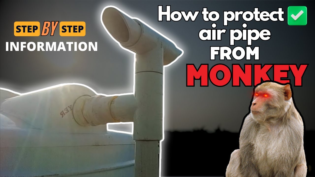 How To Protect Air Pipe From Monkey || "वायु पाइप को बंदर से कैसे बचाएं ...