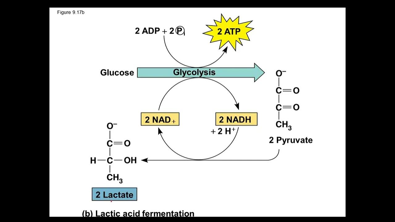 Ch 8 9 Lec 4 Youtube