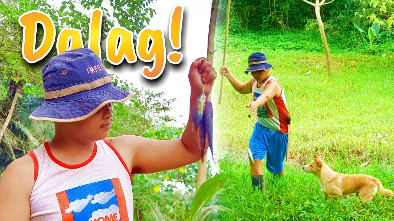 🇵🇭 Bisaya Life: FISHING and cooking simple dishes for my family ...