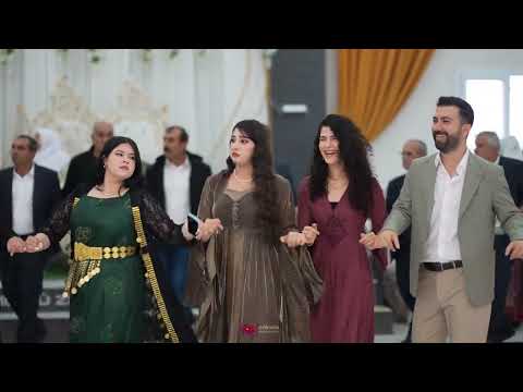 Rıdvan Sansur Dügünü Part 4 ( Grup Musa Silopi ) 2025
