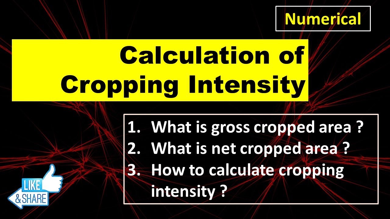 Net and gross cropped area and how to calculate cropping intensity ...