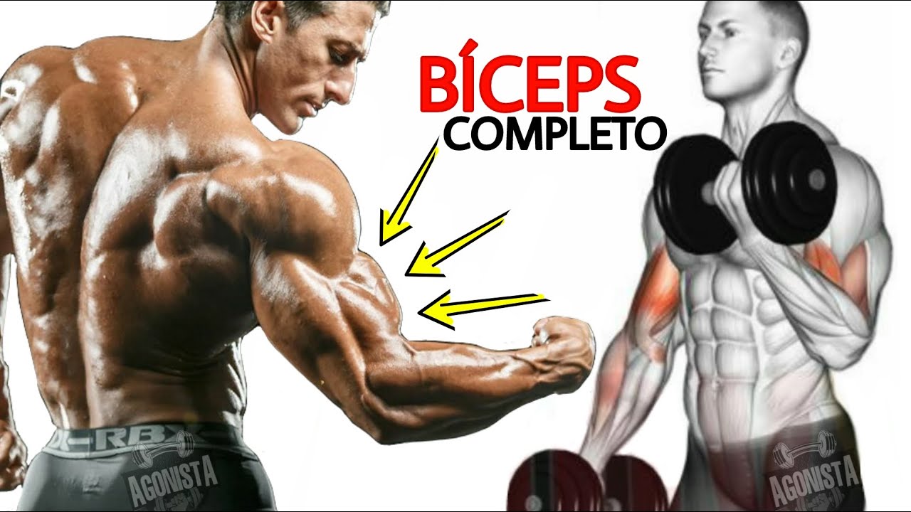 4 Exercícios Treino De Bíceps Completo Youtube
