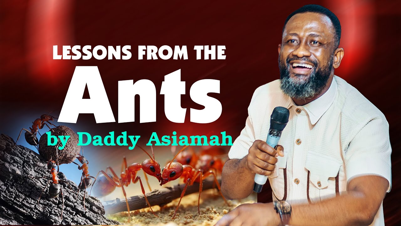 ZOOMORPHISM - Lessons from animals by Daddy Asiamah - YouTube