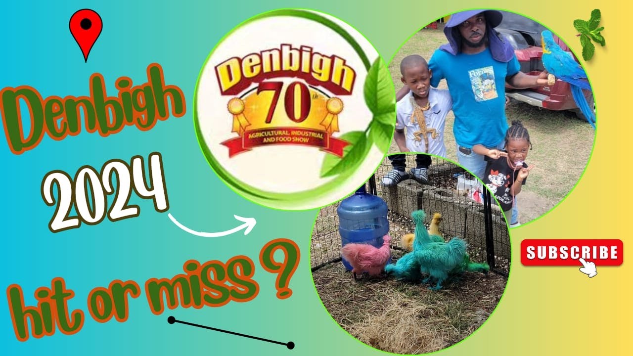 70th Anniversary of the Denbigh Agricultural Show, was it a Hit or Miss ...