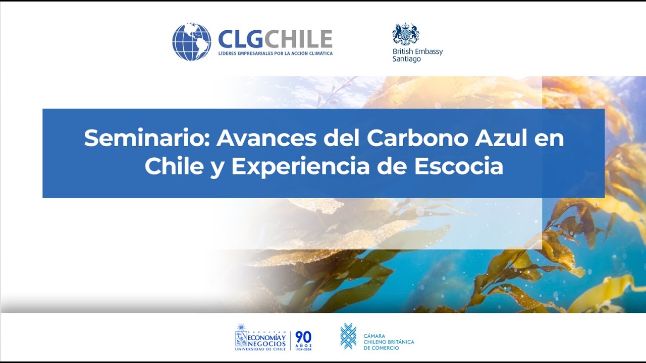 Carbono Azul y Cambio Climático - YouTube