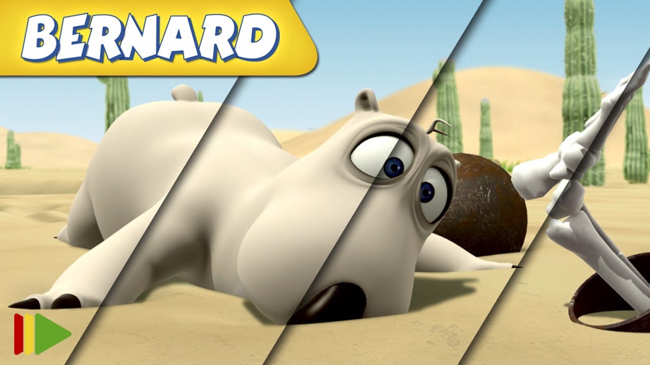 🐻‍ ️ BERNARD | Collection 37 | Full Episodes | VIDEOS and CARTOONS FOR ...