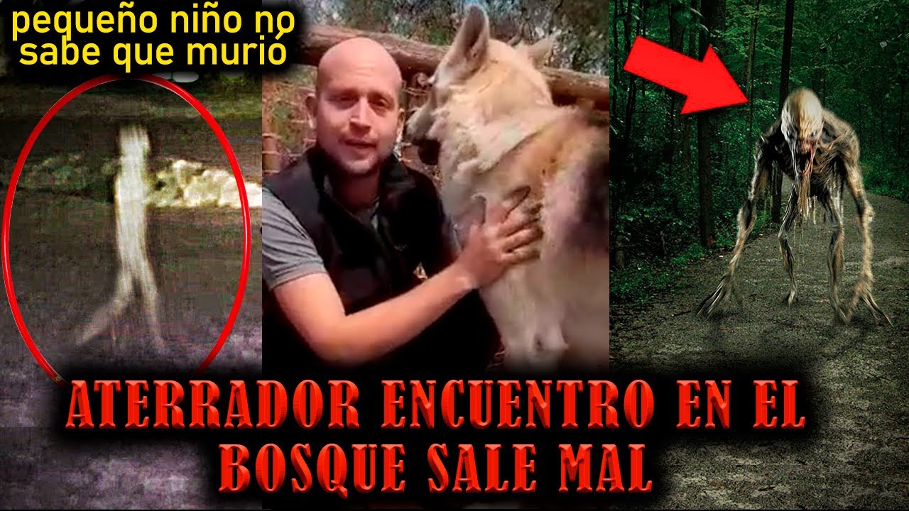 ATERRADOR ENCUENTRO con EXTRAÑA CRIATURA en el BOSQUE SALE MAL ...
