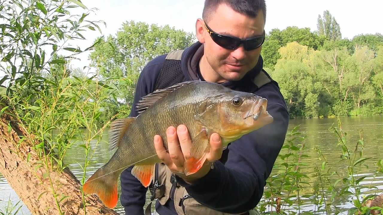 Okon 50|Okon 50|Okon 48|Potezne Garby na spinning| - YouTube