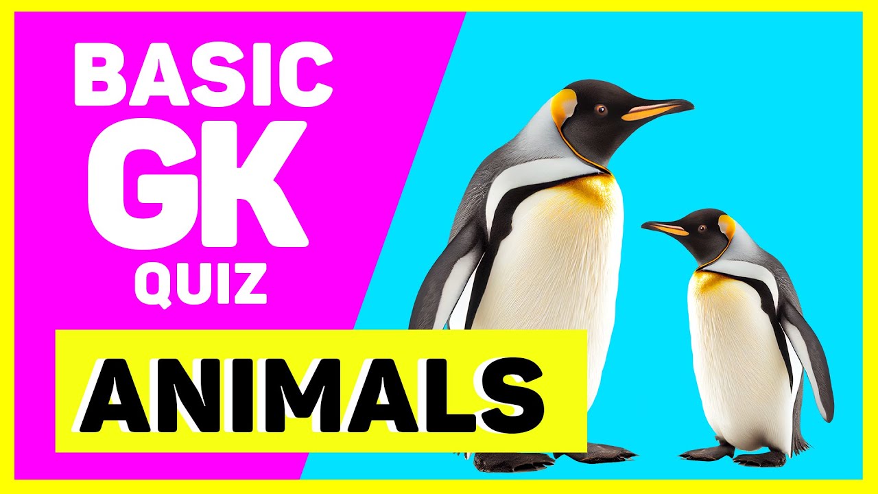 Gk | Quiz on Animals | सवाल जवाब | GK questions & Answers - YouTube