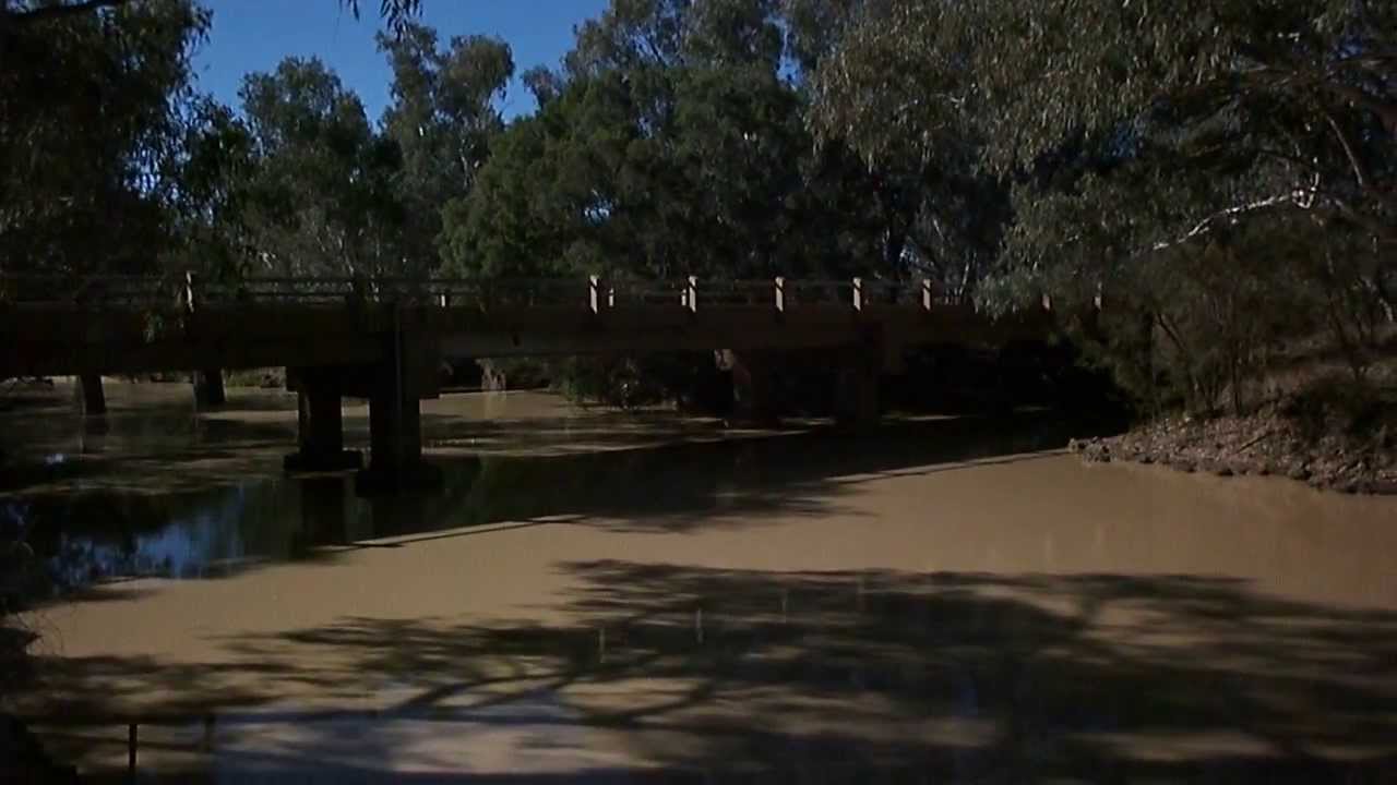 Bulloo River fishing spot in Quilpie - YouTube