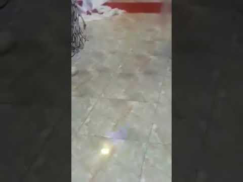 Elçin Borçali saniramki dunendi bu