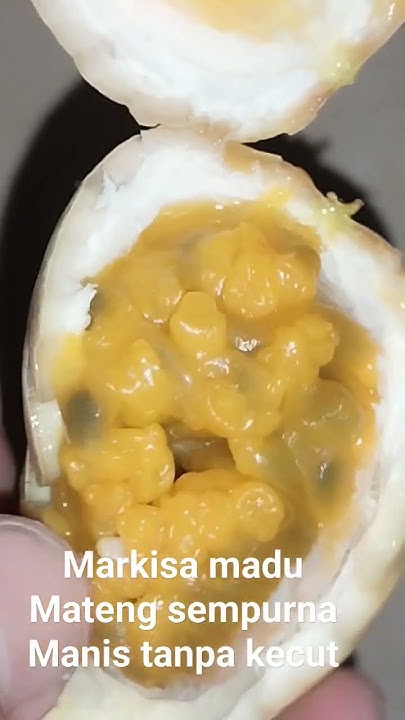 markisa madu #markisa #madu #markisamadu - YouTube