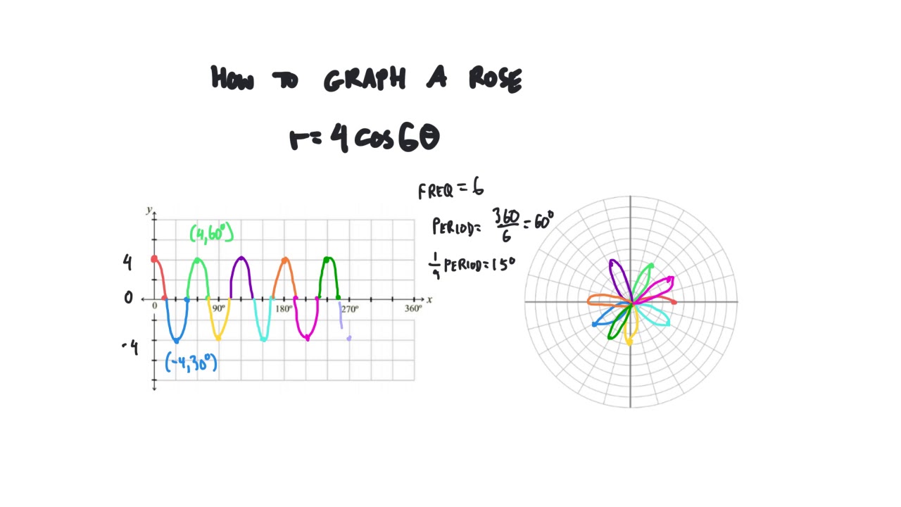 How To Graph A Rose YouTube How To Graph A Rose YouTube