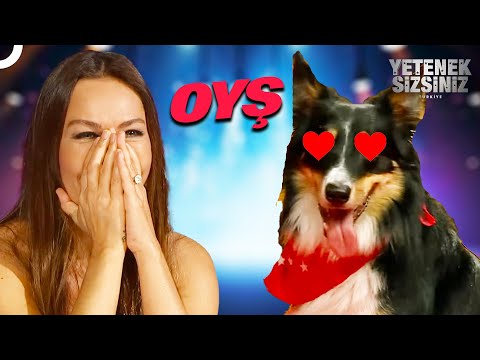 Bu Köpek İnsan Gibi Hareketler Yapıyor! | Yetenek Sizsiniz Türkiye