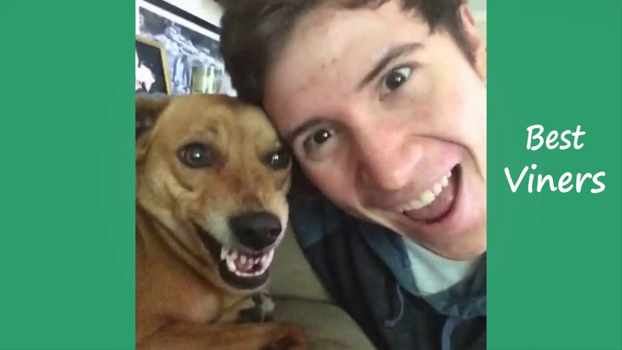 Try Not To Laugh or Grin While Watching Funny Clean Vines #84 - Best ...