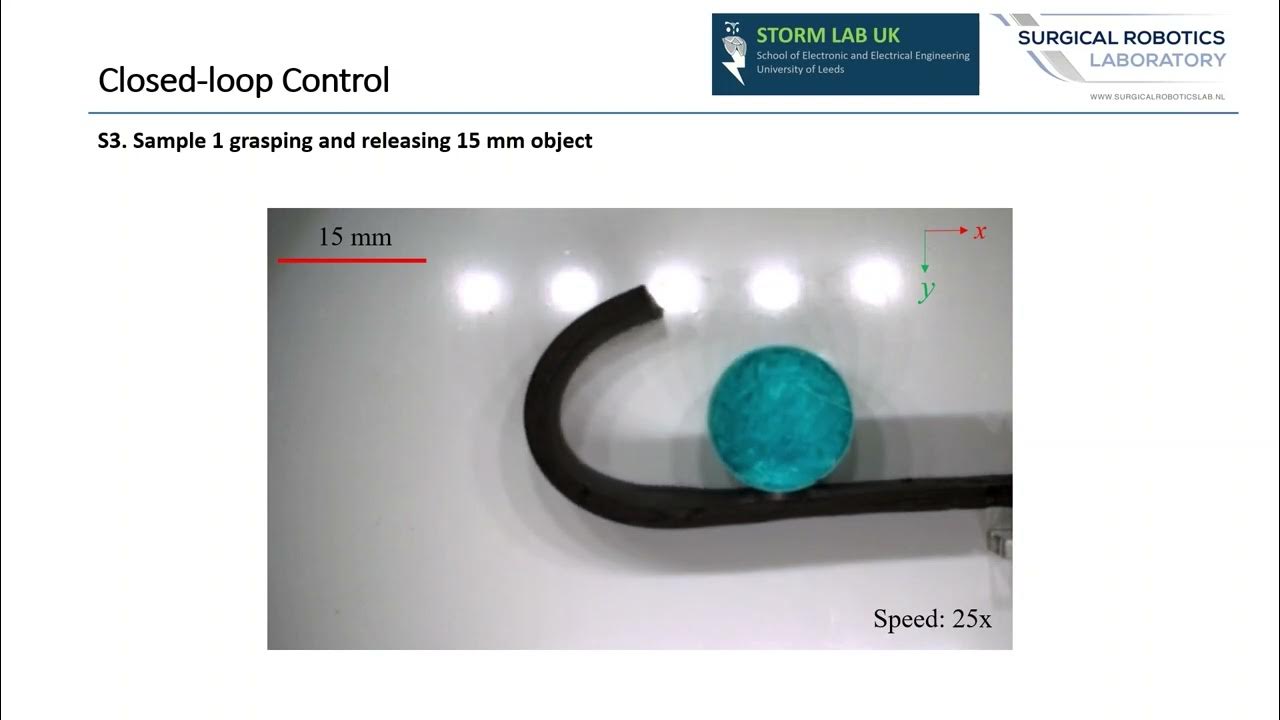 Lloyd et al. - IEEE Robotics and Automation Letters 2023 - STORM Lab ...