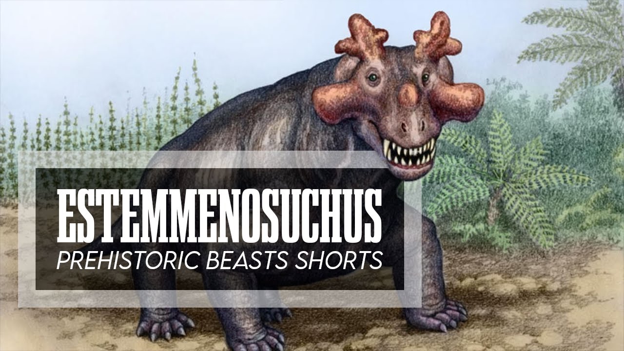 Estemmenosuchus - Early Omnivorous Therapsid - YouTube