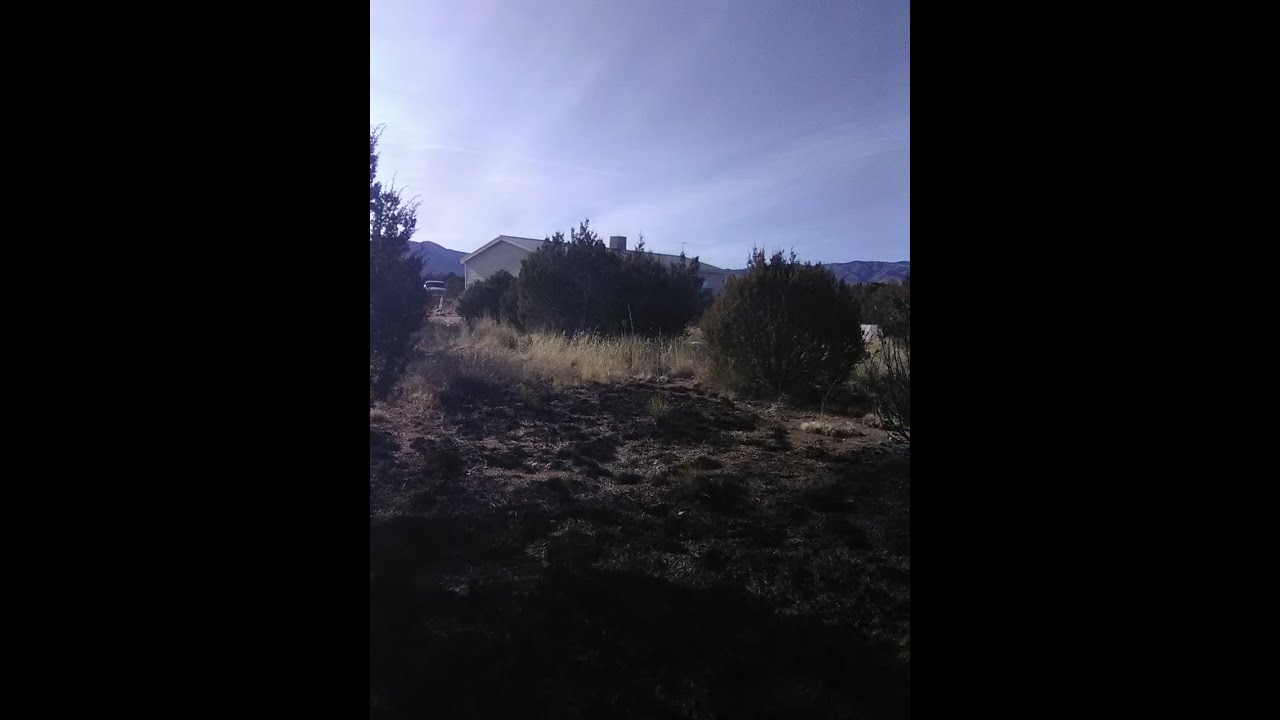 Boy Scouts & Watchtower - YouTube