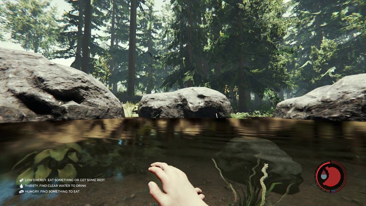 The Forest @1440p ultra settings - YouTube