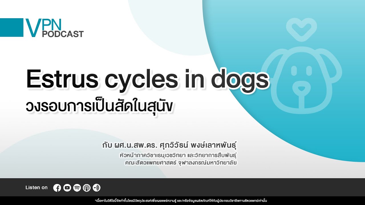 VPN Podcast EP.55 - Estrus cycles in dogs - YouTube