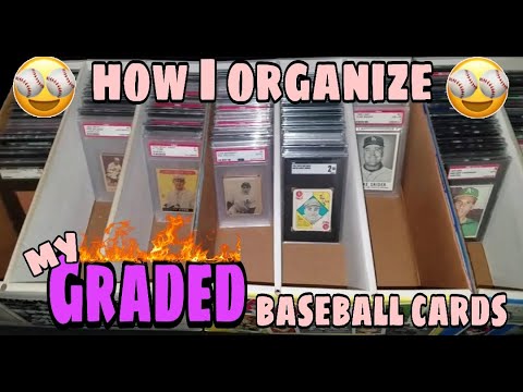 How I Organize My Graded Baseball Cards - YouTube