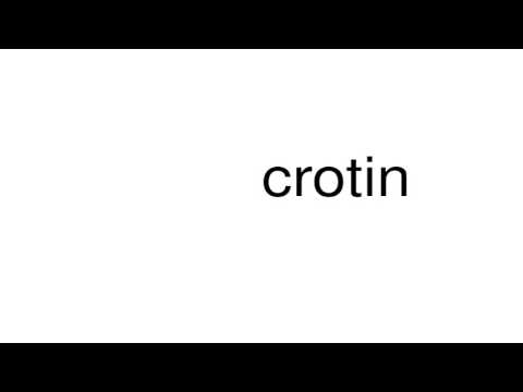How to pronounce crotin