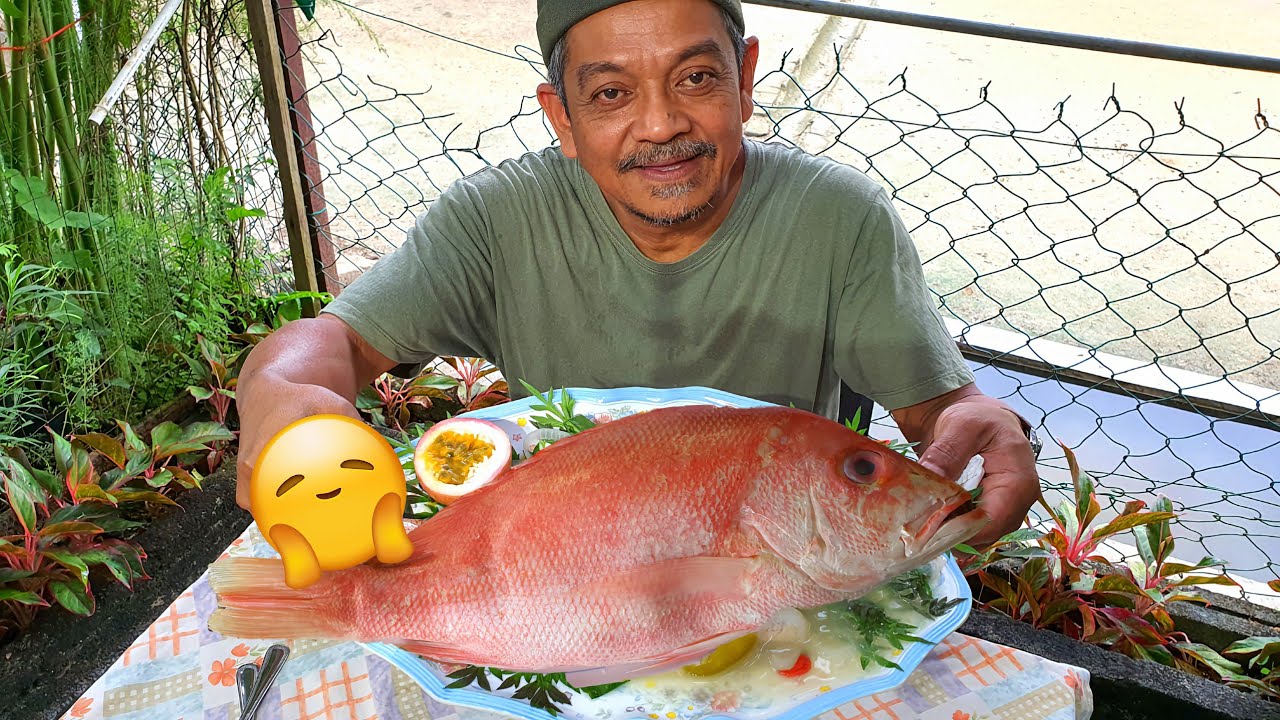 ️ RESEPI EP67|| IKAN MERAH MASAK STIM MARKISA. BAHAN DARI KEBUN - YouTube
