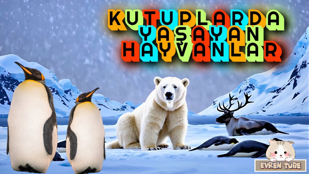Eğitici Eğlenceli Çocuk Şarkısı | Kutuplarda Yaşam, Kutup Hayvanlarını ...