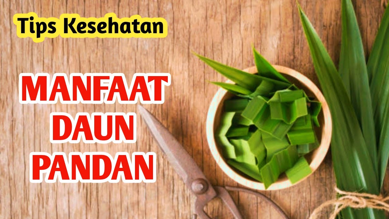 Tips Kesehatan - Manfaat Daun Pandan - YouTube