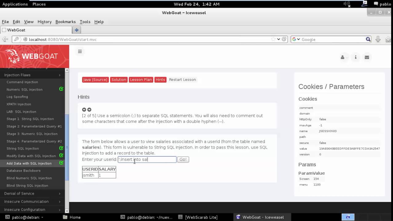 Práctica WebGoat. Add data with SQL injection - YouTube