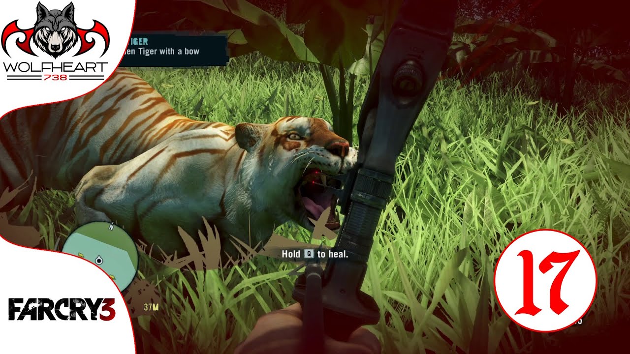 HUNTING AND COLLECTING DAY 3 - Far Cry 3 #17 - YouTube