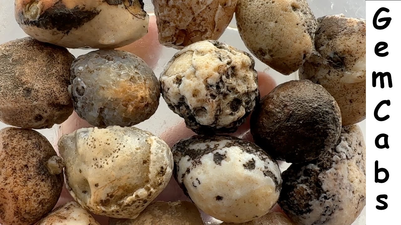 Arizona Agates Cut Open to Reveal What is Hiding Inside 02 11 25 - YouTube