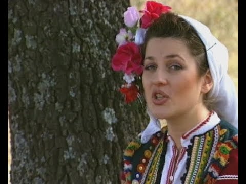ПЕЯТ ГЕРГАНА И ДИМИТЪР ДИМИТРОВИ (2001)