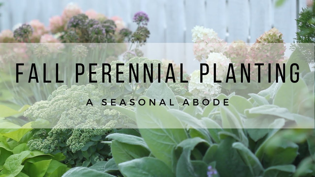 Fall Planting Zone 6, Fall Planting Perennials, Zone 6 Gardening, Zone ...
